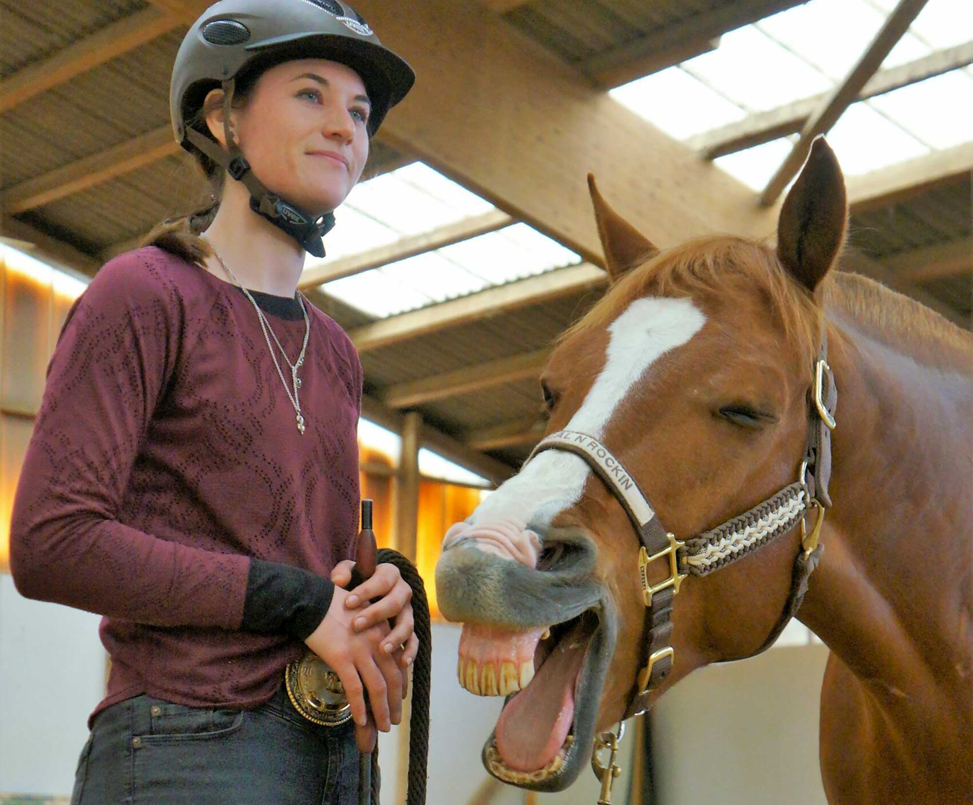 Prüfung: Reiten mit Halsring und freies Reiten - Freiheitsdressur Schweiz