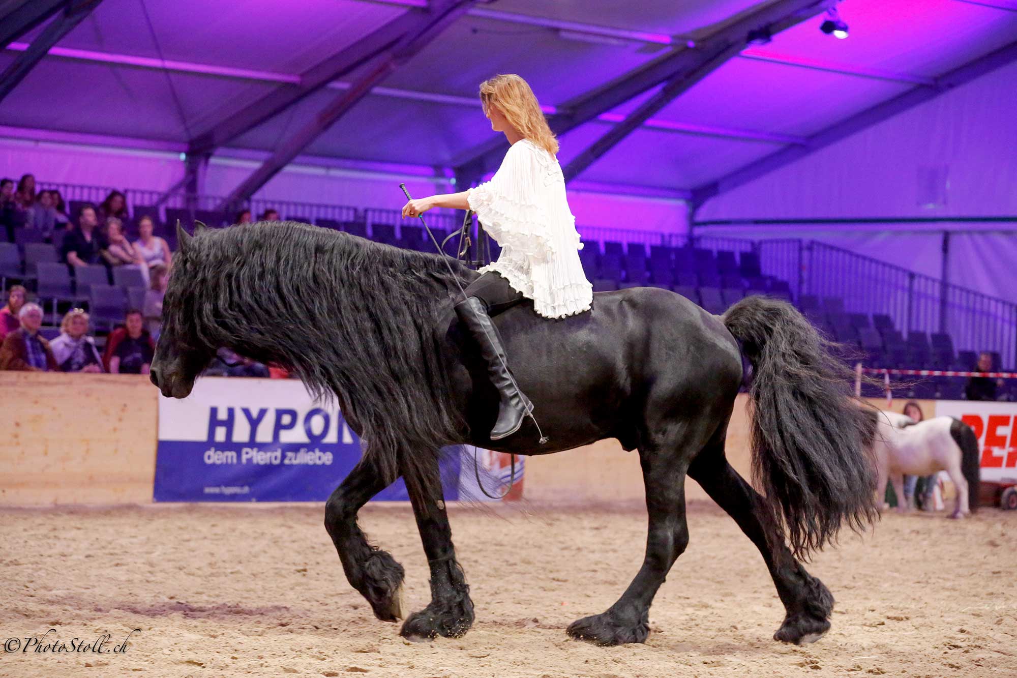 4. Mai 2024 «Fascination du dressage en liberté», grande arène BEA ...
