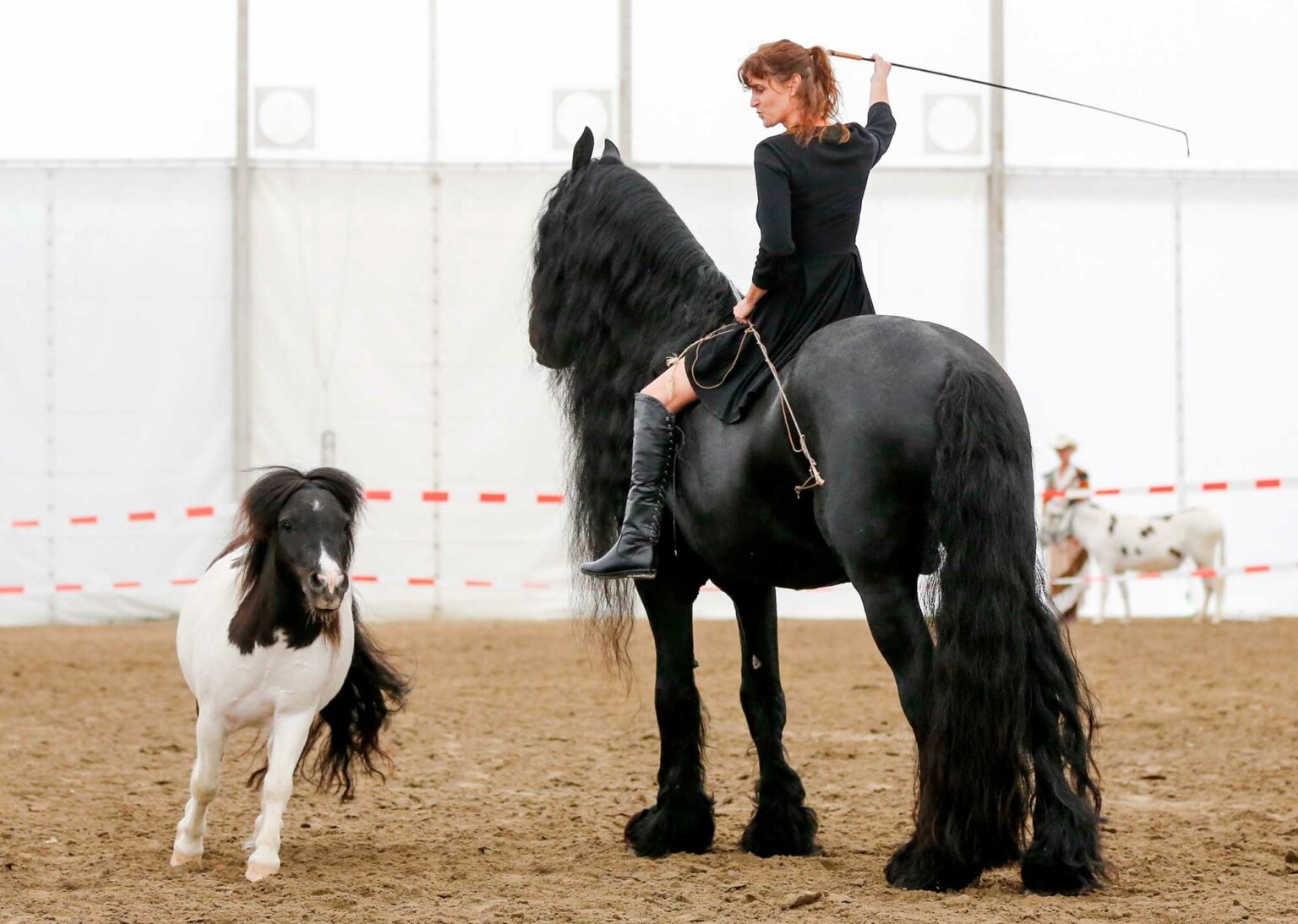 Simone Tanner - Freiheitsdressur Schweiz